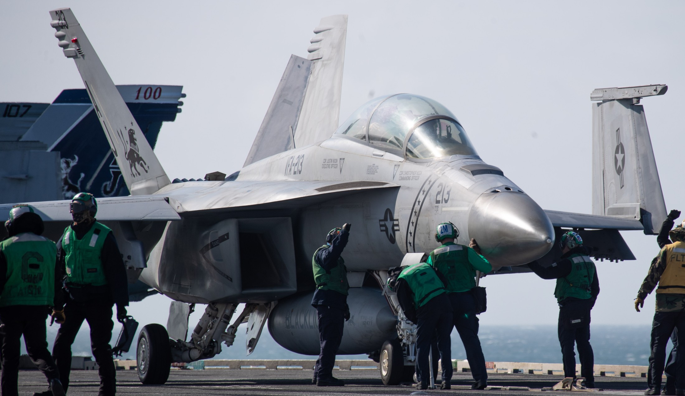 VFA-213 Black Lions Strike Fighter Squadron F/A-18F Hornet