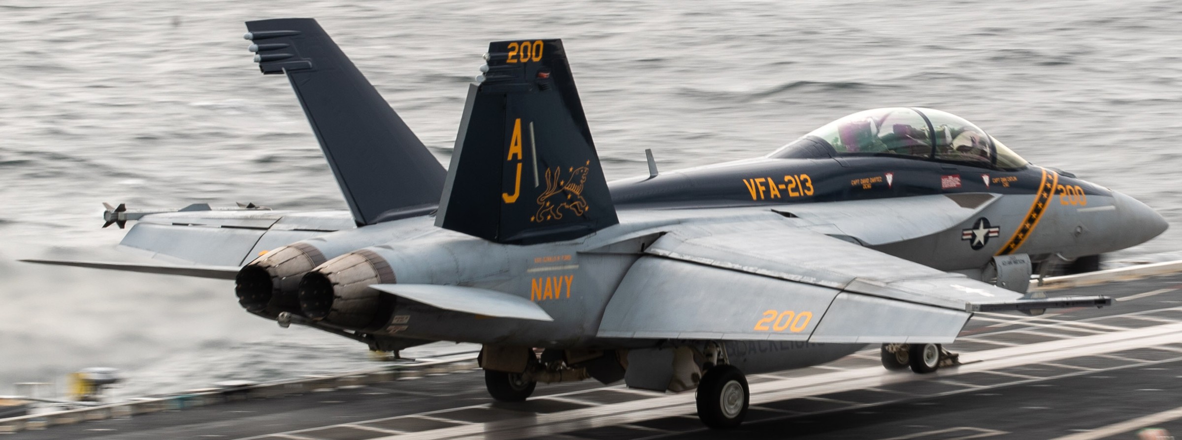 VFA-213 Black Lions Strike Fighter Squadron F/A-18F Hornet